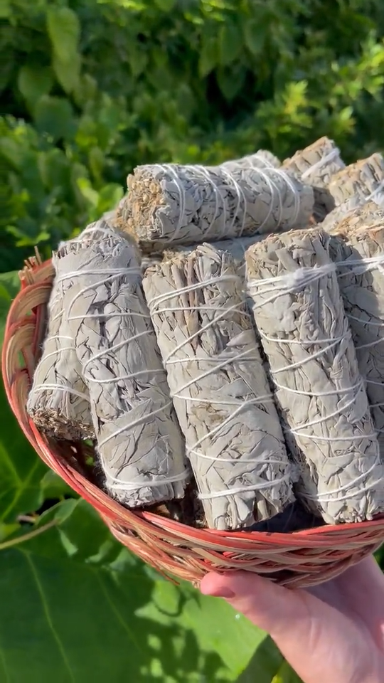 White Sage Smudge Bundles - 6 Pack Bulk Lot + Directions (4" White Sage ...