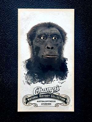 AUSTRALOPITHECUS AFARENSIS 2008-09 UPPER DECK CHAMP'S MINI 08-09 NO ...