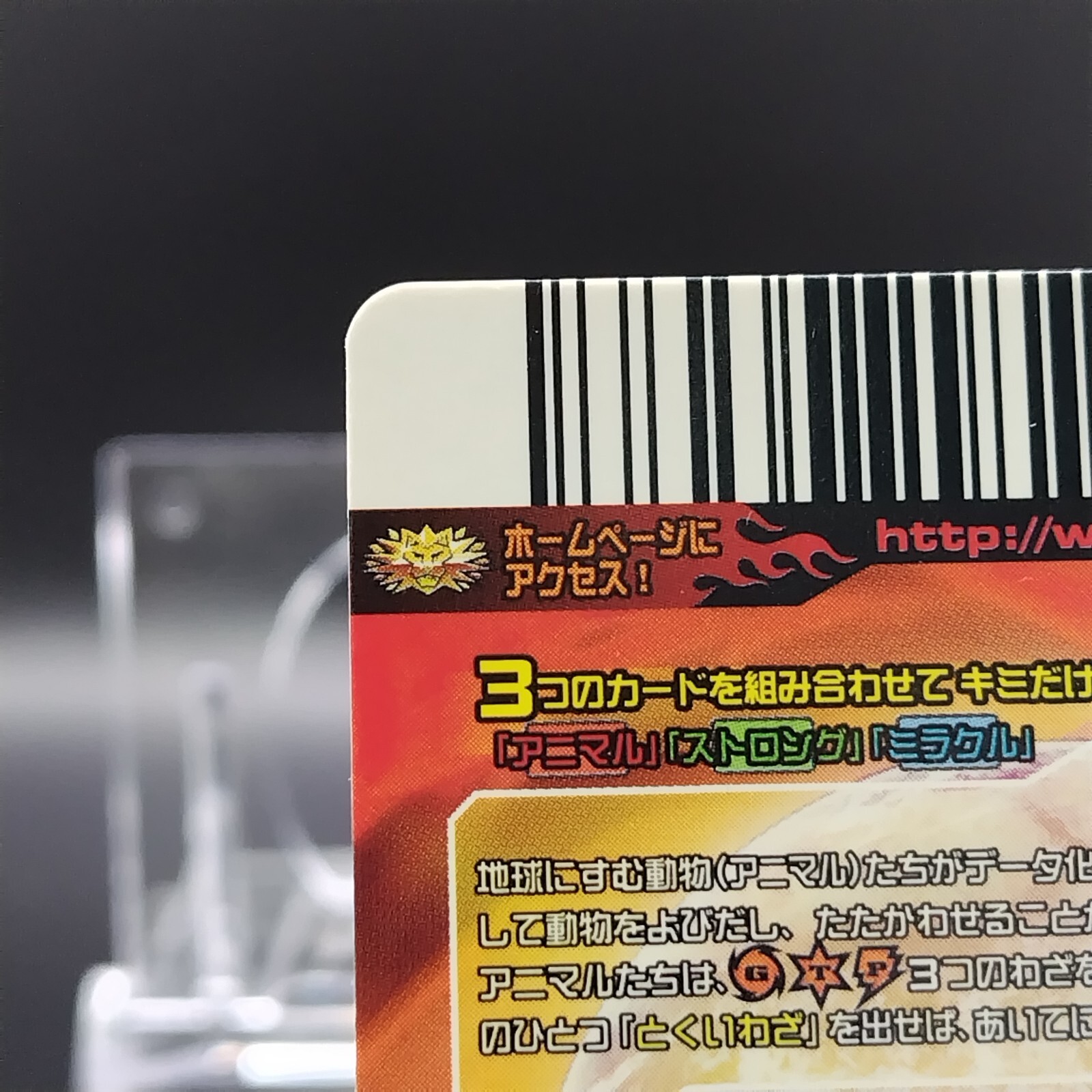 Panthera pardus Animal kaiser Holo Card Japan Japanese 2008 BANDAI A ...