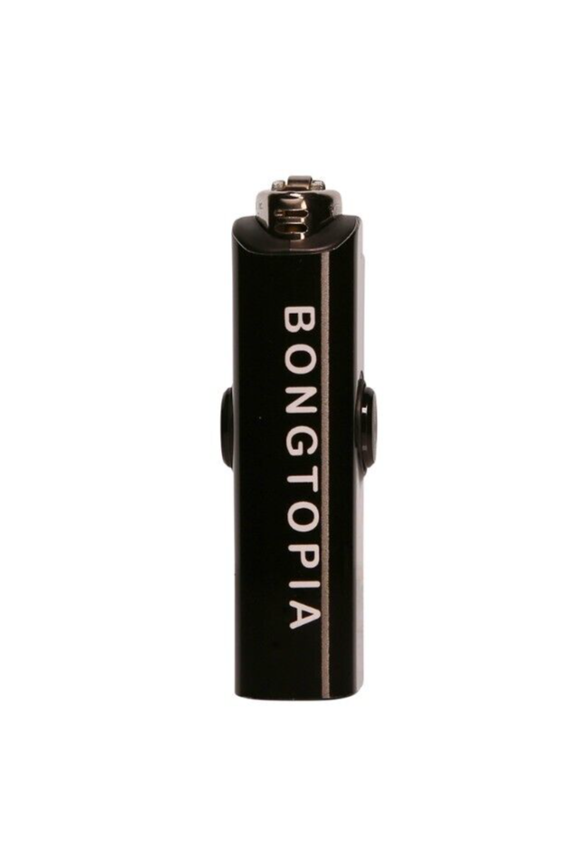 ORIGINAL BIC FLKR LYTR, FLICKER LIGHTER FIDGET SPINNER - LIGHTER CASE ...