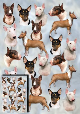 Bull Terrier Wrapping Paper by Starprint - One Sheet with matching gift ...
