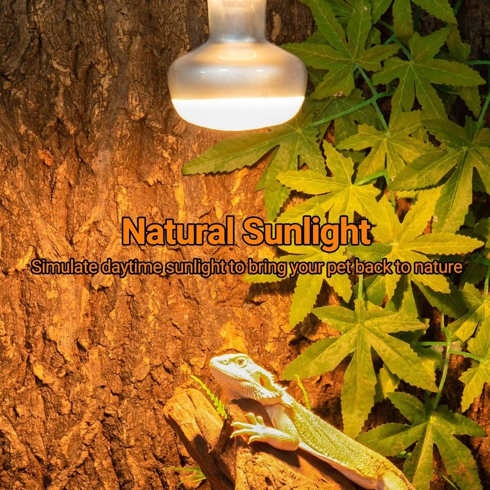 2 Pack Heat Lamp 100W, Intense Basking Spot Simulated Natural Sunlight ...