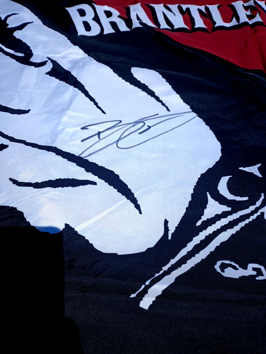 Brantley Gilbert Flag