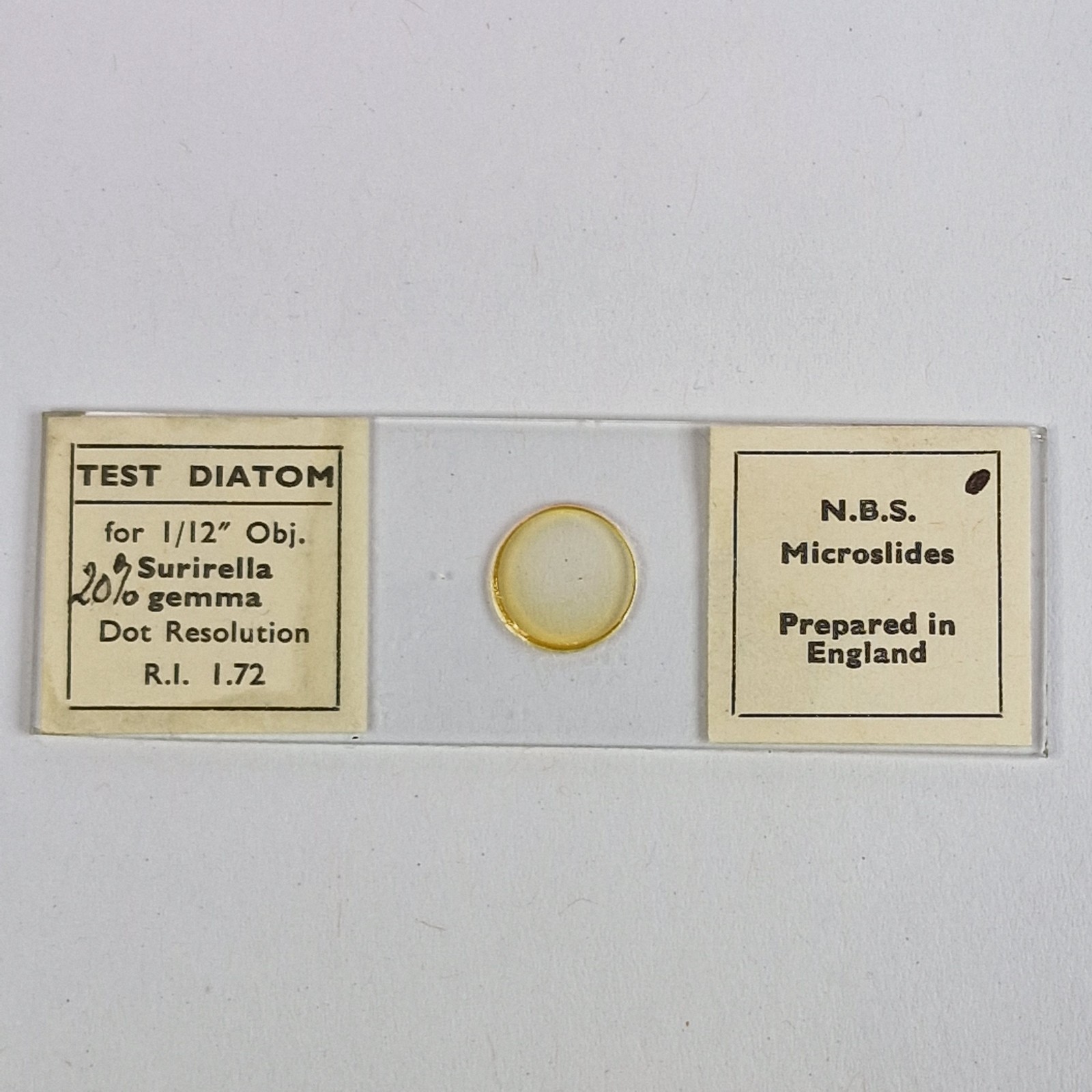 NBS Set of 6 Various Vintage Test Diatom Microscope Slides Prepared In ...