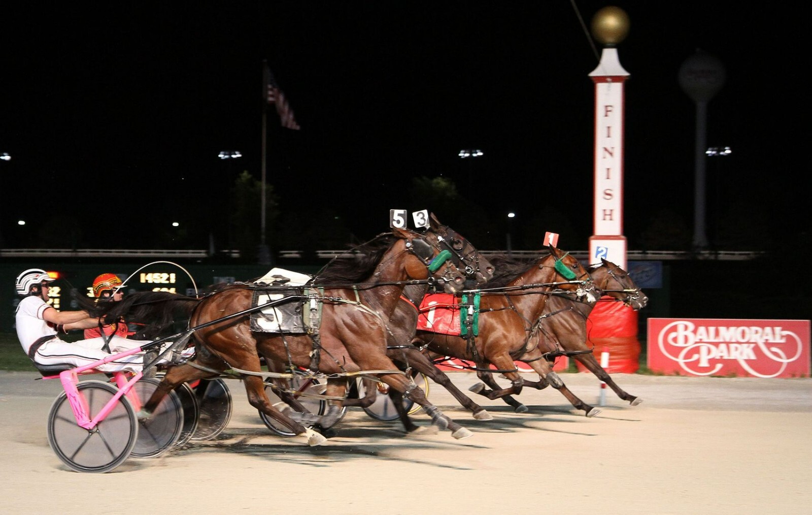 BALMORAL PARK 8X10 PHOTO PICTURE HORSE RACE TRACK HARNESS RACING WIDE ...