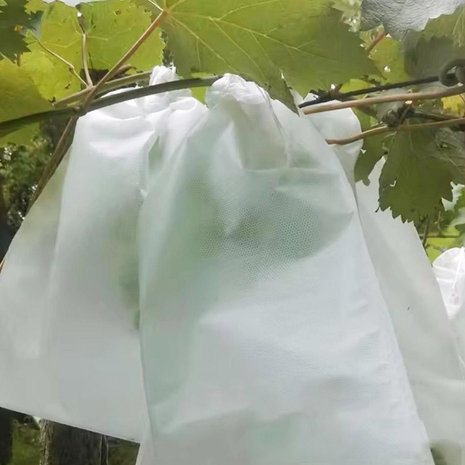 100Pcs Non-woven Fabric Fruit Vegetable Grape Protection Bags Insect ...