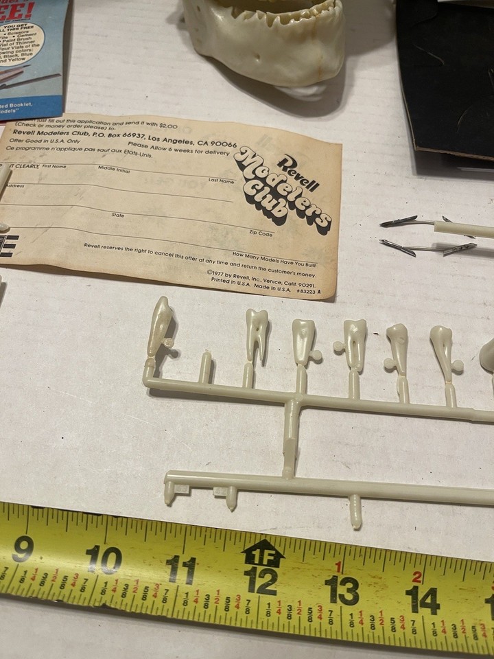 Incomplete! REVELL LIFE-SIZE HUMAN SKULL PLASTIC MODEL KIT GLOWS IN ...