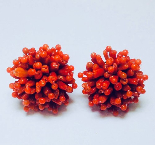 Awesome Genuine Natural Red Coral starburst Screw On Earrings NEW | eBay