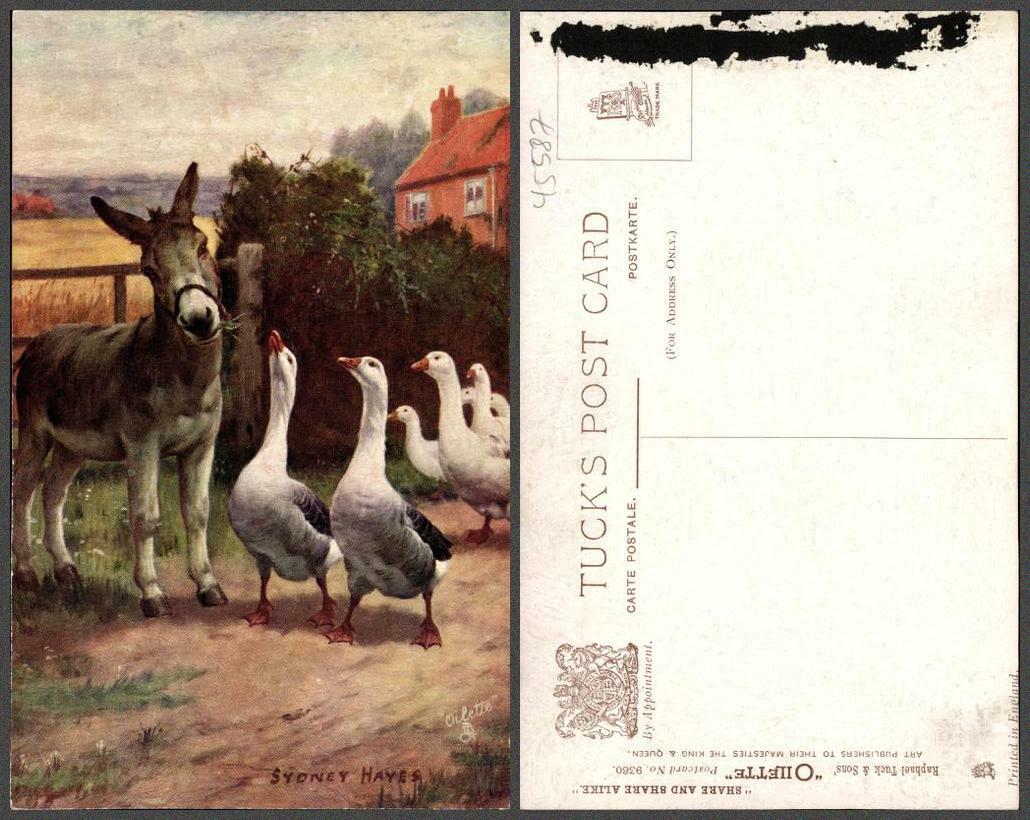 VINTAGE POSTCARD TOPIC: Ducks | eBay