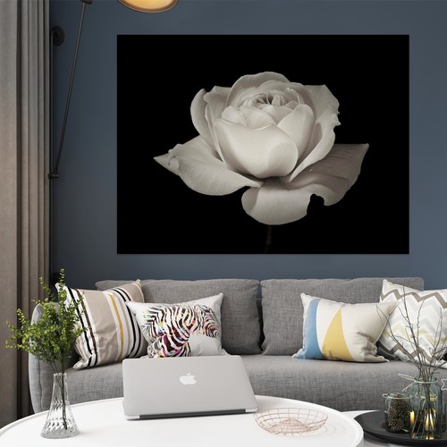 3D White Rose A008 Wall Stickers Wall Murals Wallpaper Assaf Frank Ann ...
