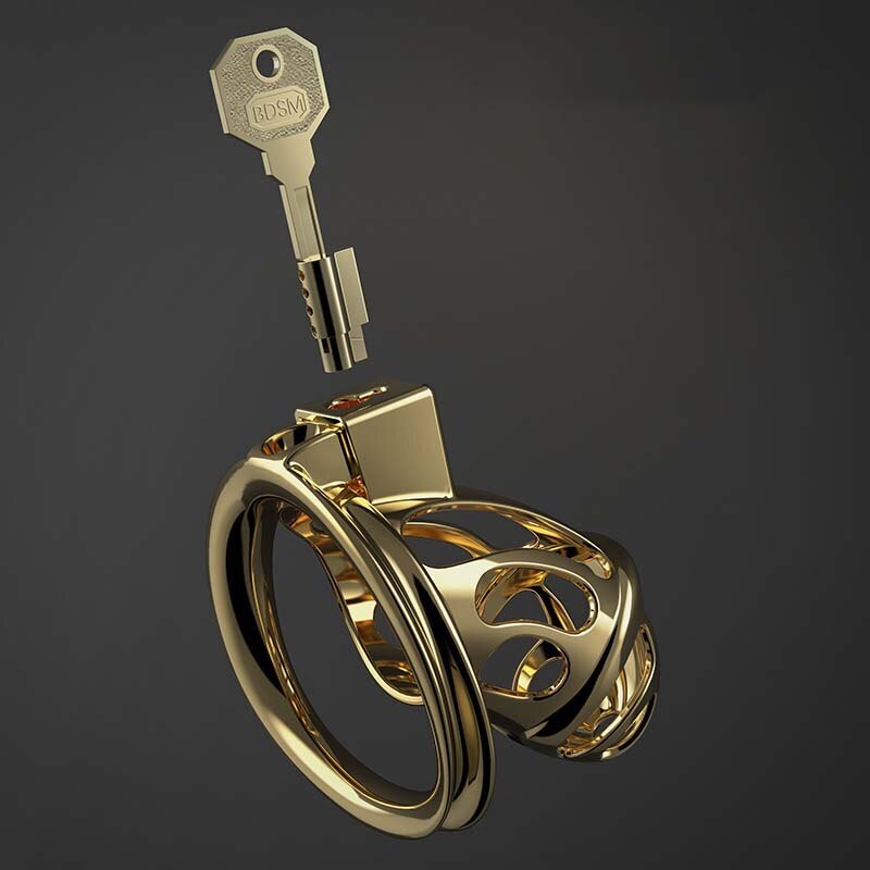 2023 New Metal Stealth male Chastity Lock Male Cage Urethra Rings Cobra ...