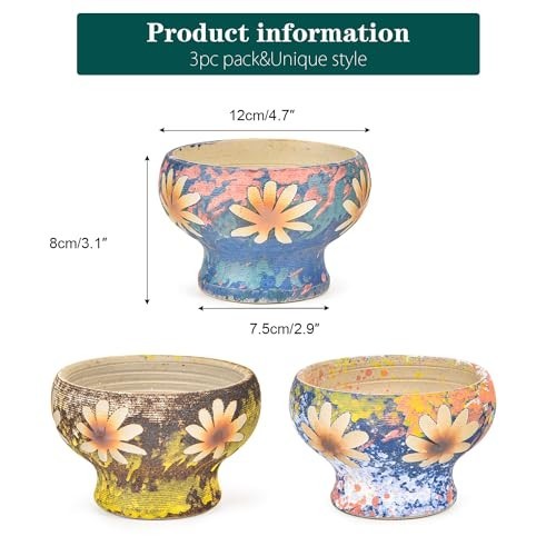 Sungmor 4.9 Inch Large Succulent Plant Pots, Pretty Hand Painted ...