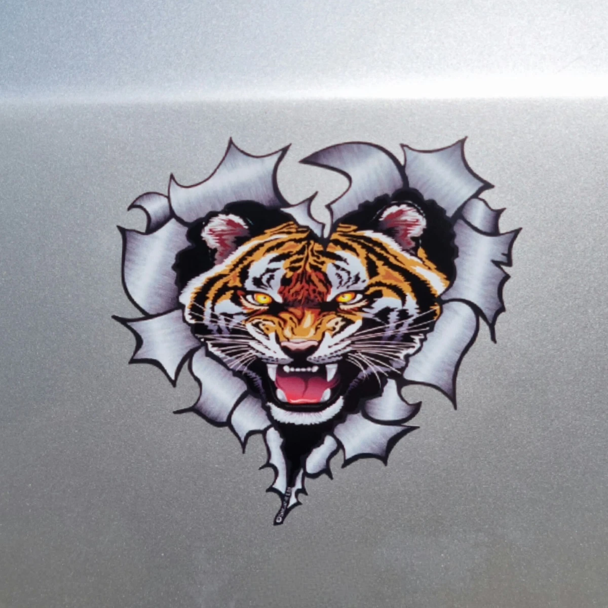Angry Bengal Tiger