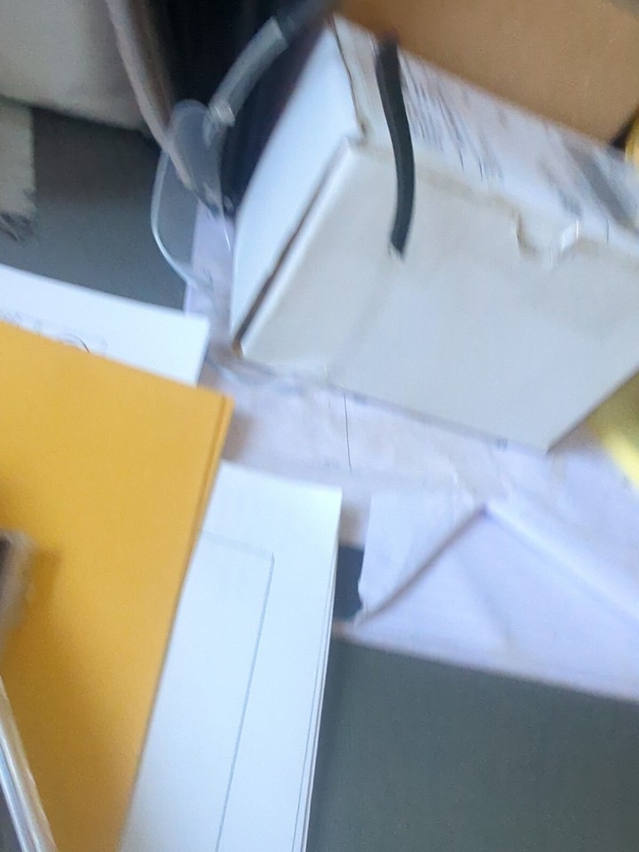 2021-22 Topps Merlin UCL Rayan Cherki Renaissance #R-9 Olympique ...