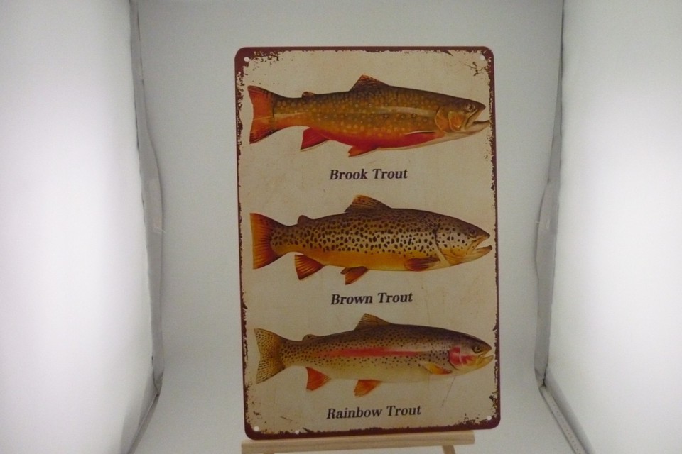 Trout Species Retro Metal Tin Sign 12x8 Brook Brown Rainbow Wall Decor ...
