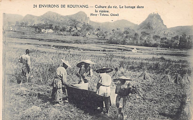 China - Surroundings of GUIYANG (Kouiyan) - Rice cultivation ...