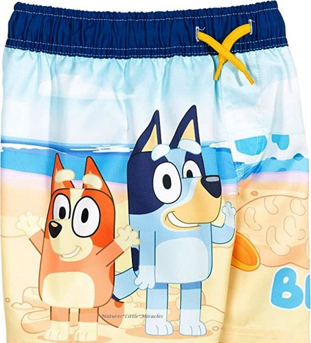 BLUEY Disney Swim Trunks Rash Guard Shirt Set Boy Swimsuit Size 2 3 4 ...