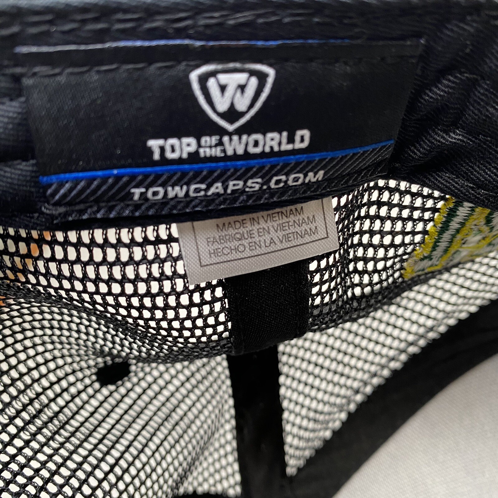 Oregon Ducks 2020 PAC-12 Football Champions Locker Room SnapBack Hat ...