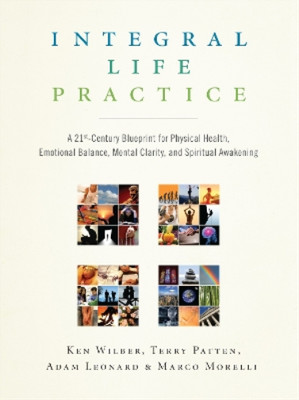 Adam Leonard Marco Morelli Ken Wilber Terry Patte Integral Life Practic ...