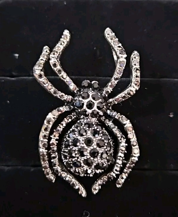 Silver Spider Brooch