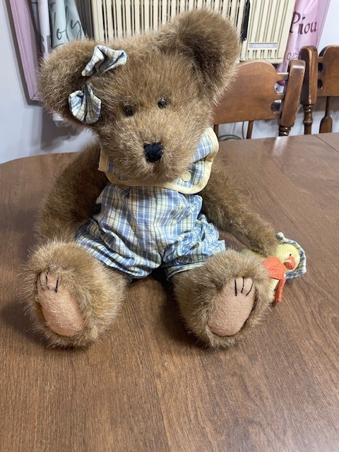 Boyds Bears Plush Bear Macy Sunbeary Holding Little Duck Toy - 15" | eBay