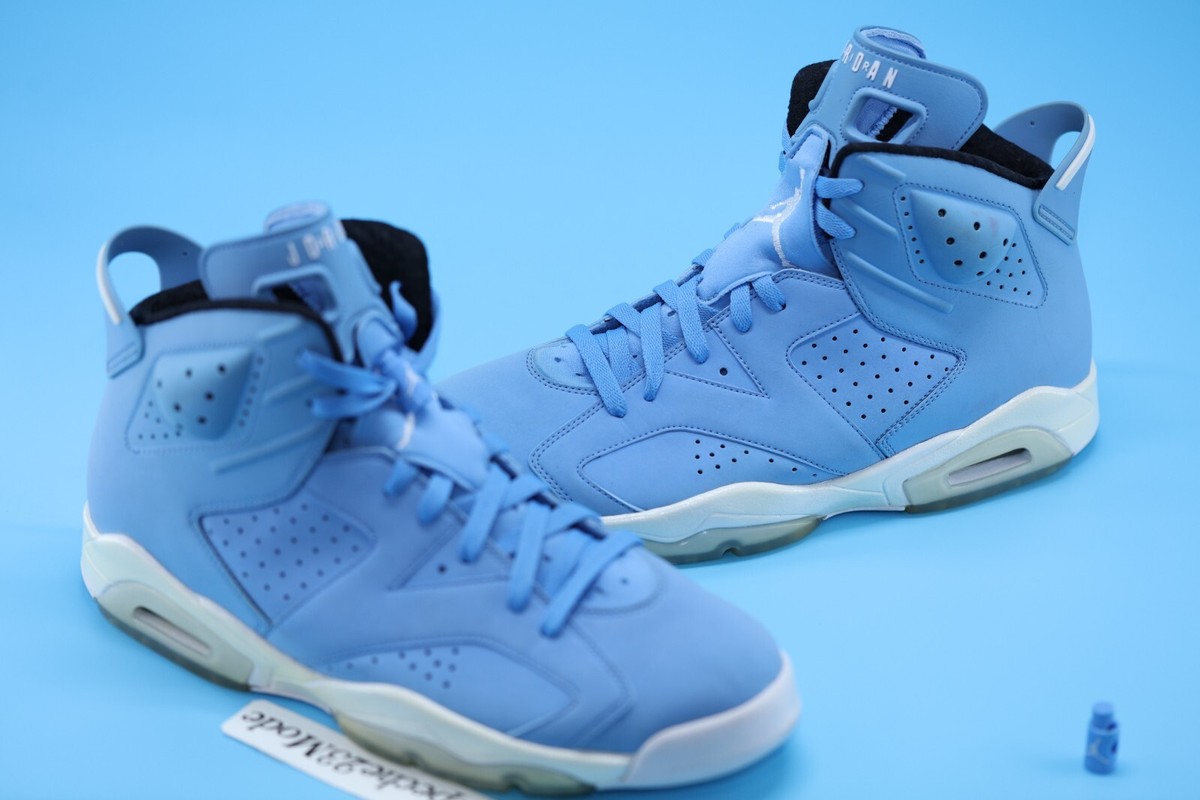 Pantone Jordans 6