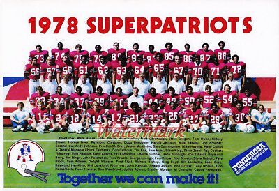 NFL 1978 New England Patriots Team Picture with Names Color 8 X 10 ...