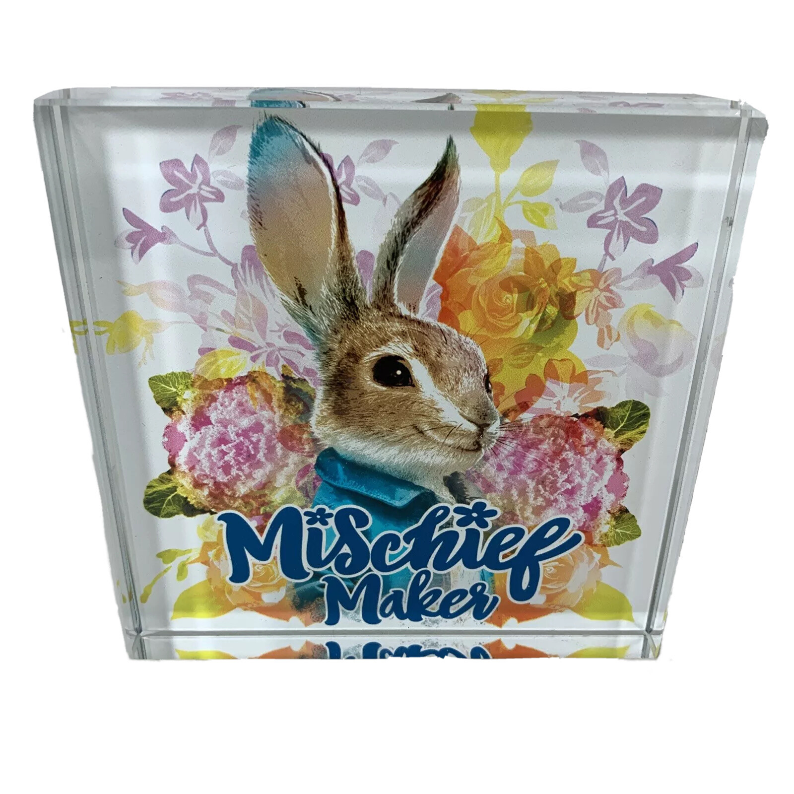 DanDee Peter Rabbit Mischief Maker Easter Table Decor Glass 5" x 5" Paperweight | eBay