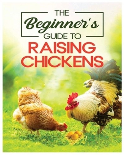 Raising Chickens for Beginners: An A-Z Guide on Starting Your Own Flock ...