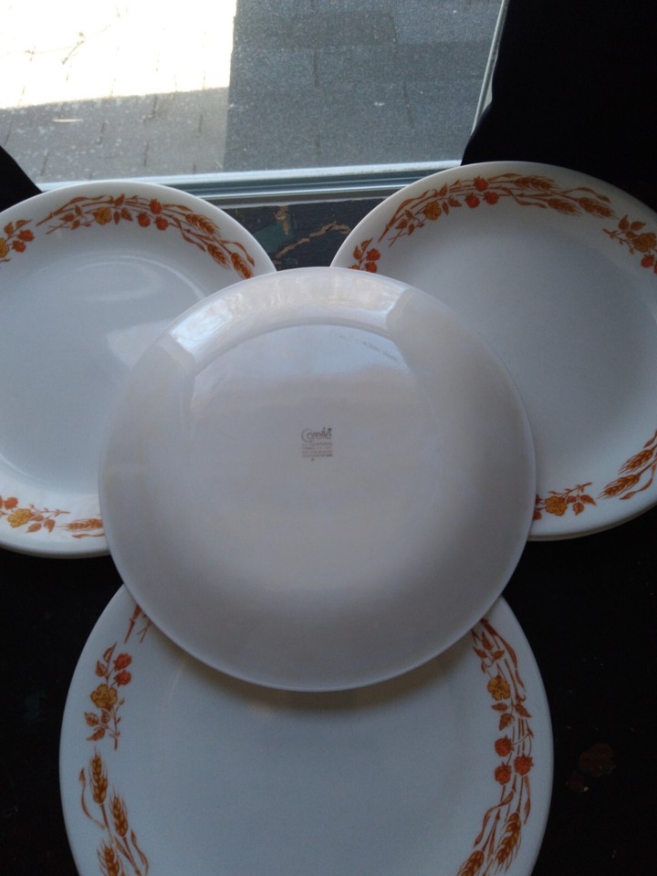 Corelle Harvest Home Luncheon Salad Plate's Wheat Set Of 10 8.5" | eBay
