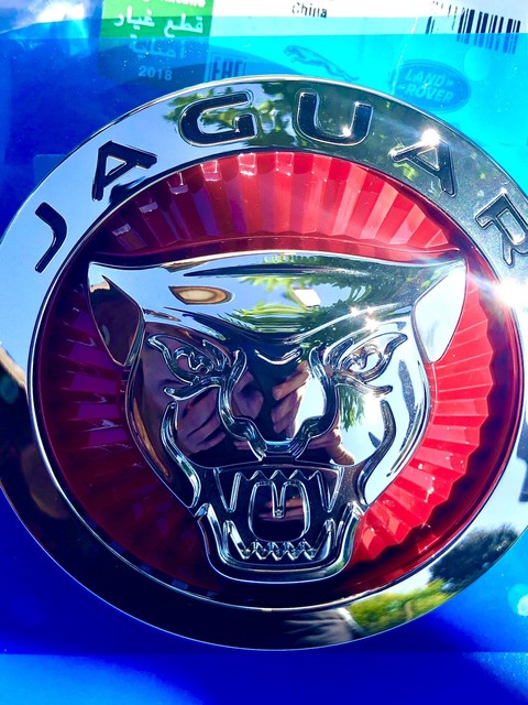 Jaguar OEM 14-16 XF Grille Grill-emblem Badge Nameplate C2D45429 for ...