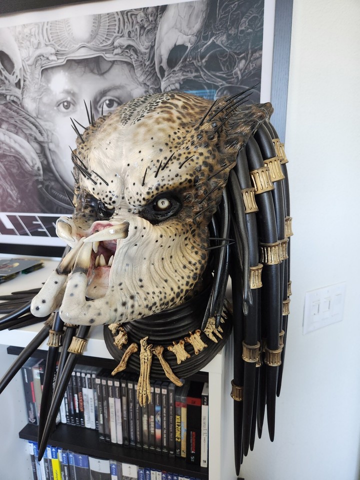 Scott Marshall Lifesize 1:1 Jungle Hunter Predator Statue Head READ ...