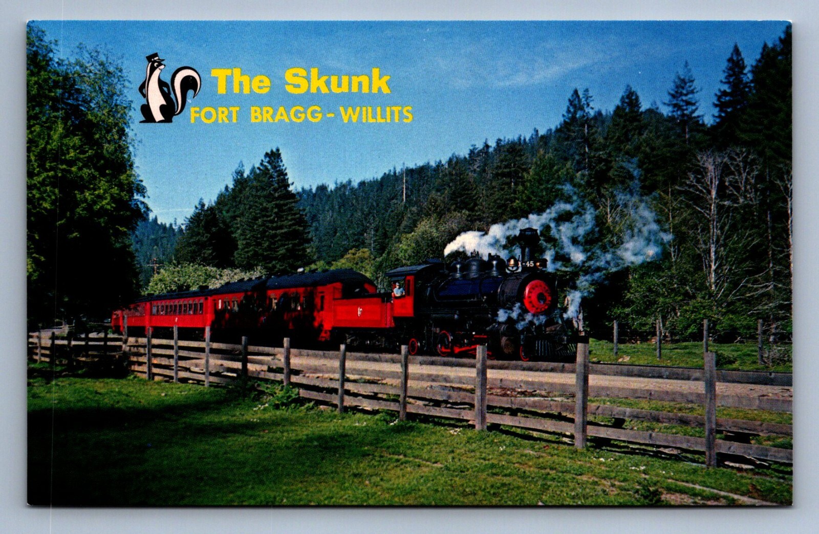 Postcard Vtg Transportation Trains Railroad The Skunk Fort Bragg ...