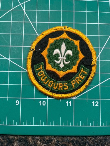 Post WWII US Army 2nd Armored Cavalry Regiment Patch | eBay