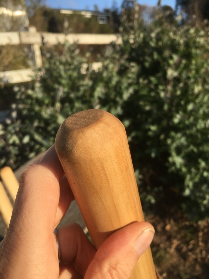 Howling Wolf, Natural Earth Tones Poplar Wood Walking Stick Hiking ...