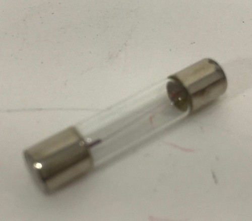 8V 250mA Fuse Type Lamp | eBay