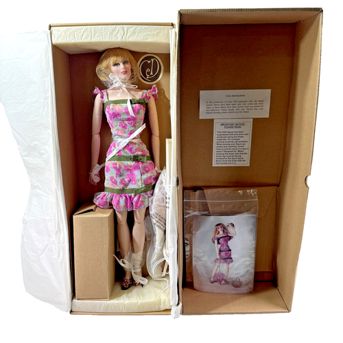 NEW IN BOX CED Doll By Doug James PROVENCE 19” Doll #52 of 300 ...