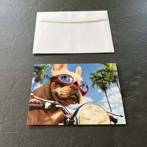 Avanti Press Hit The Strip And Let It Rip! Dog Funny Birthday Card | eBay