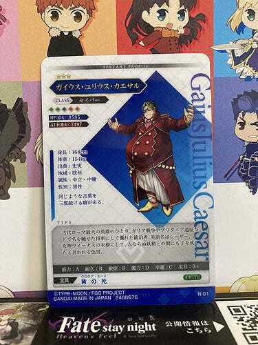 Julius Caesar Saber Fate Grand Order FGO Wafer Card Vol.6 N01 | eBay
