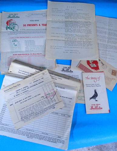 Racing pigeon paper lot | eBay
