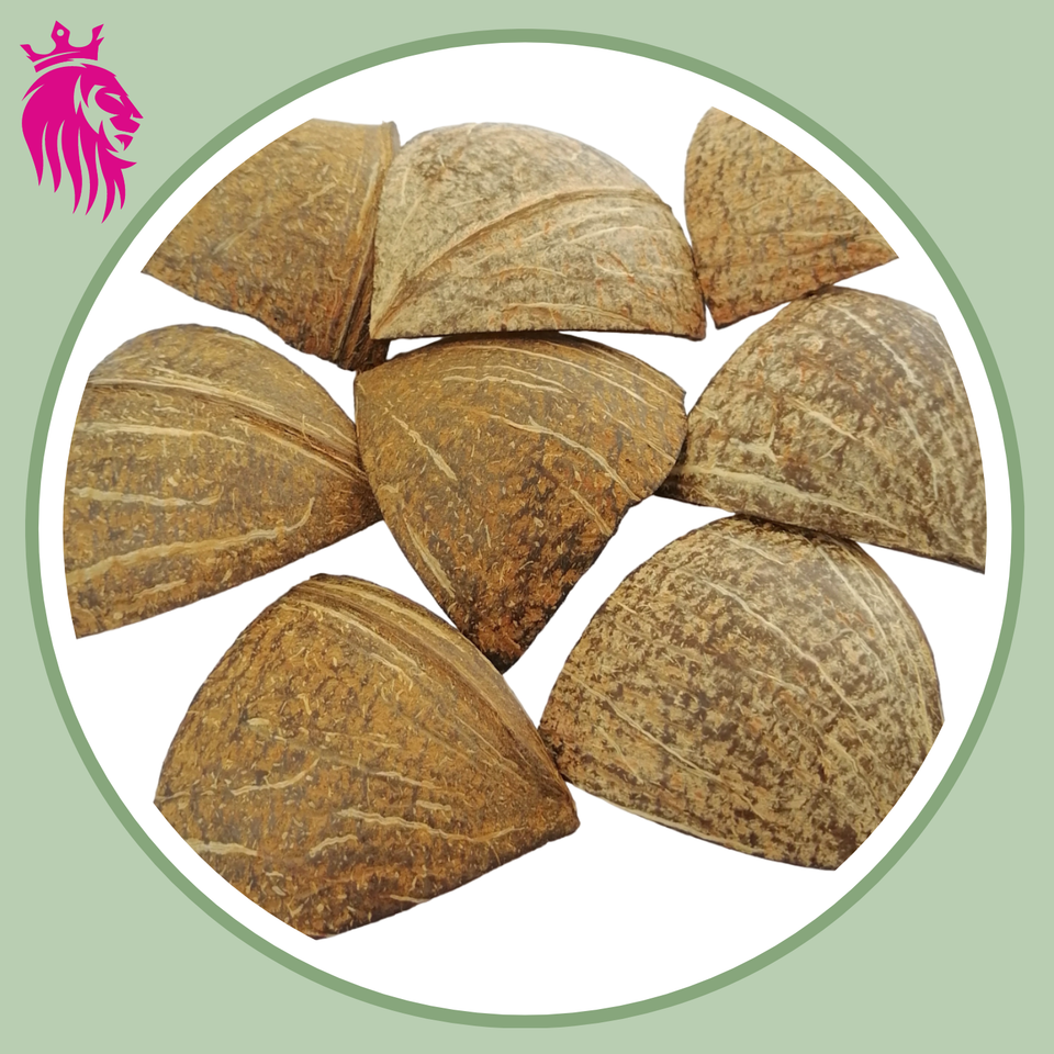Coconut Shell Chips 100% Natural Eco Friendly Pure Ceylon Product ...