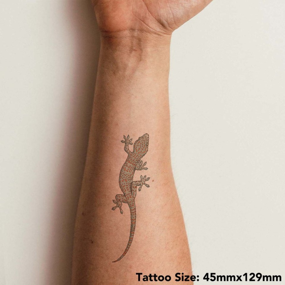 'Tokay Gecko' Temporary Tattoos / Transfers (TO00039426) | eBay