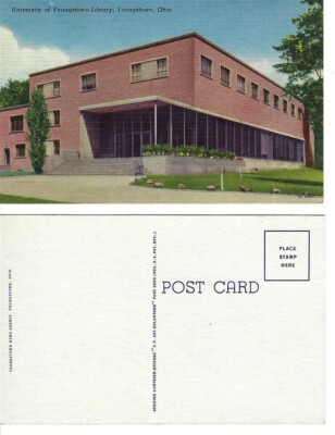 Antique Youngstown State YSU College Library Penguins Postcard | eBay