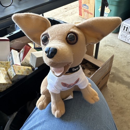 Taco Bell Yo Quiero Chihuahua Talking Dog Plush says “How Cool Is This ...