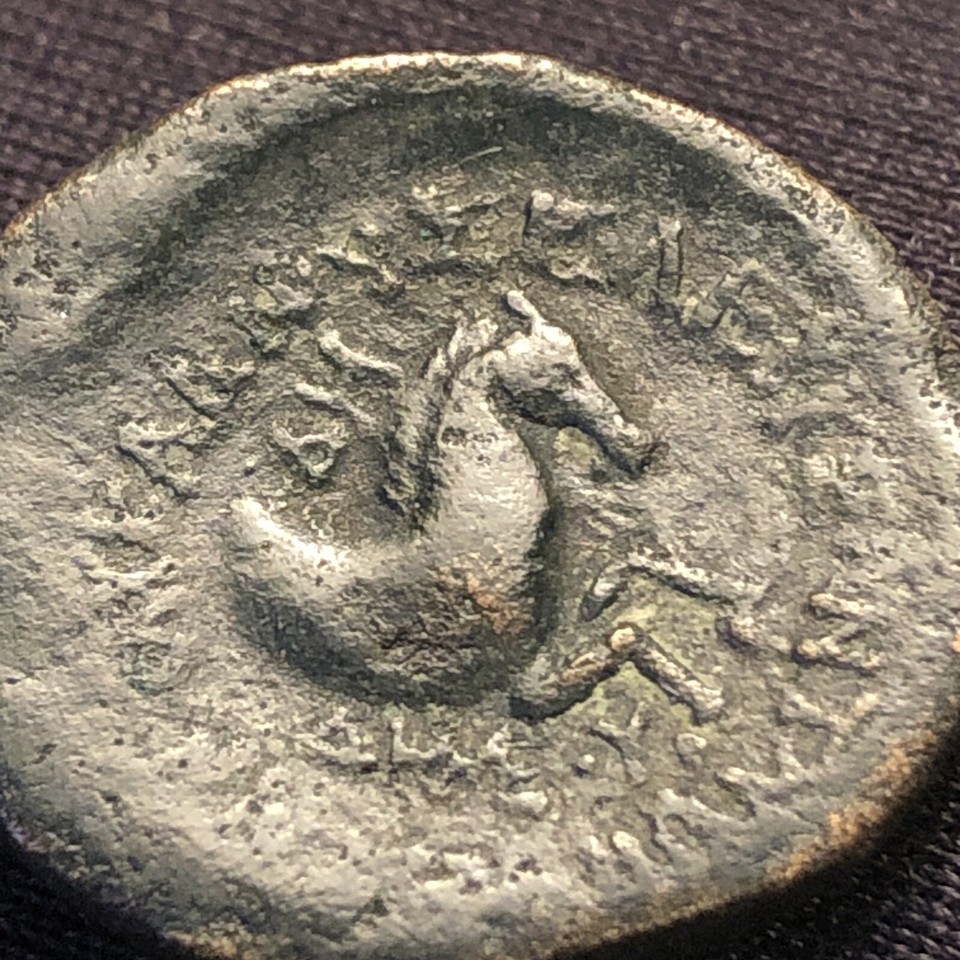 ancient coin Apollo Head Right/horse Fore part Cilicia: Seleucia 2nd ...