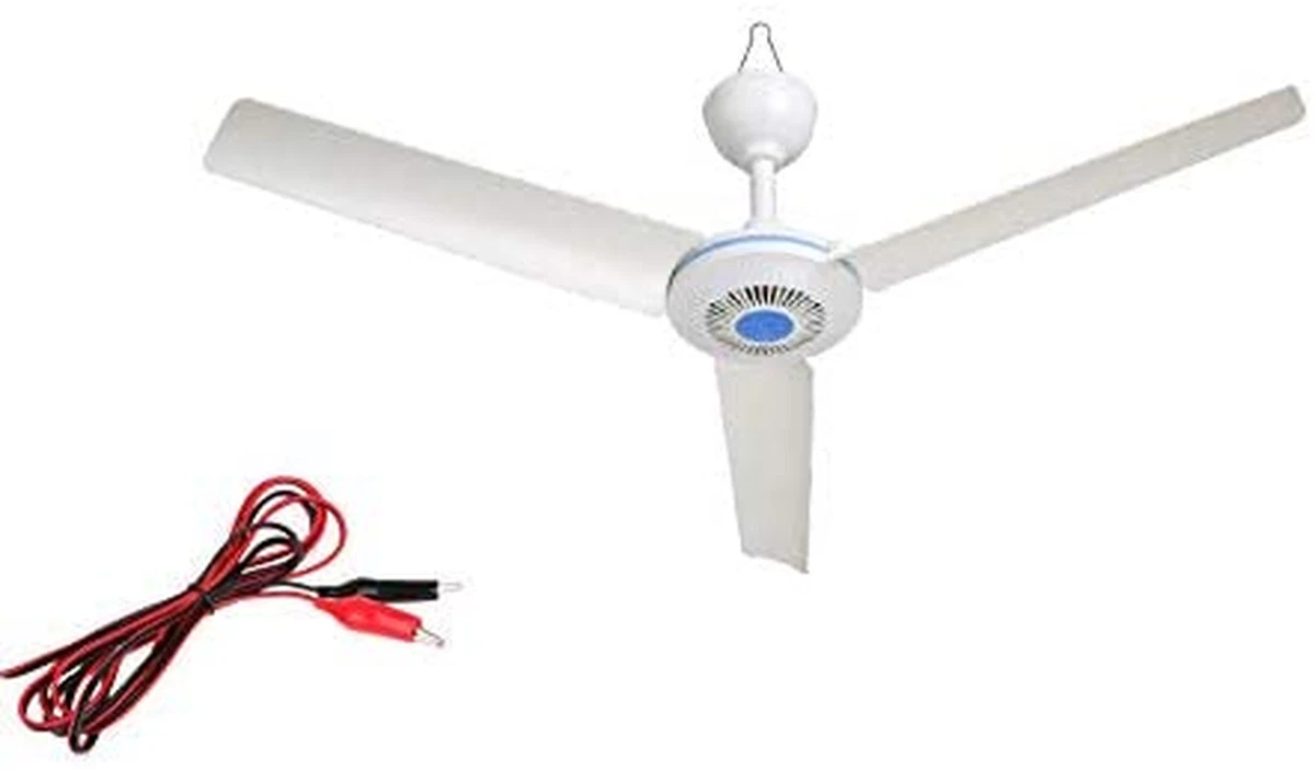12 Volt Ceiling Fan With Remote | Shelly Lighting