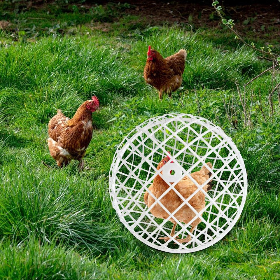 Chicken Balls Cage For Outside 3 Pieces Movable Chicken Cage Poultry | eBay