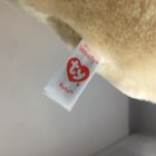 Ty Classic Plush - RUFUS the Pug Dog (9.5" Medium Size) Plush Stuffed ...