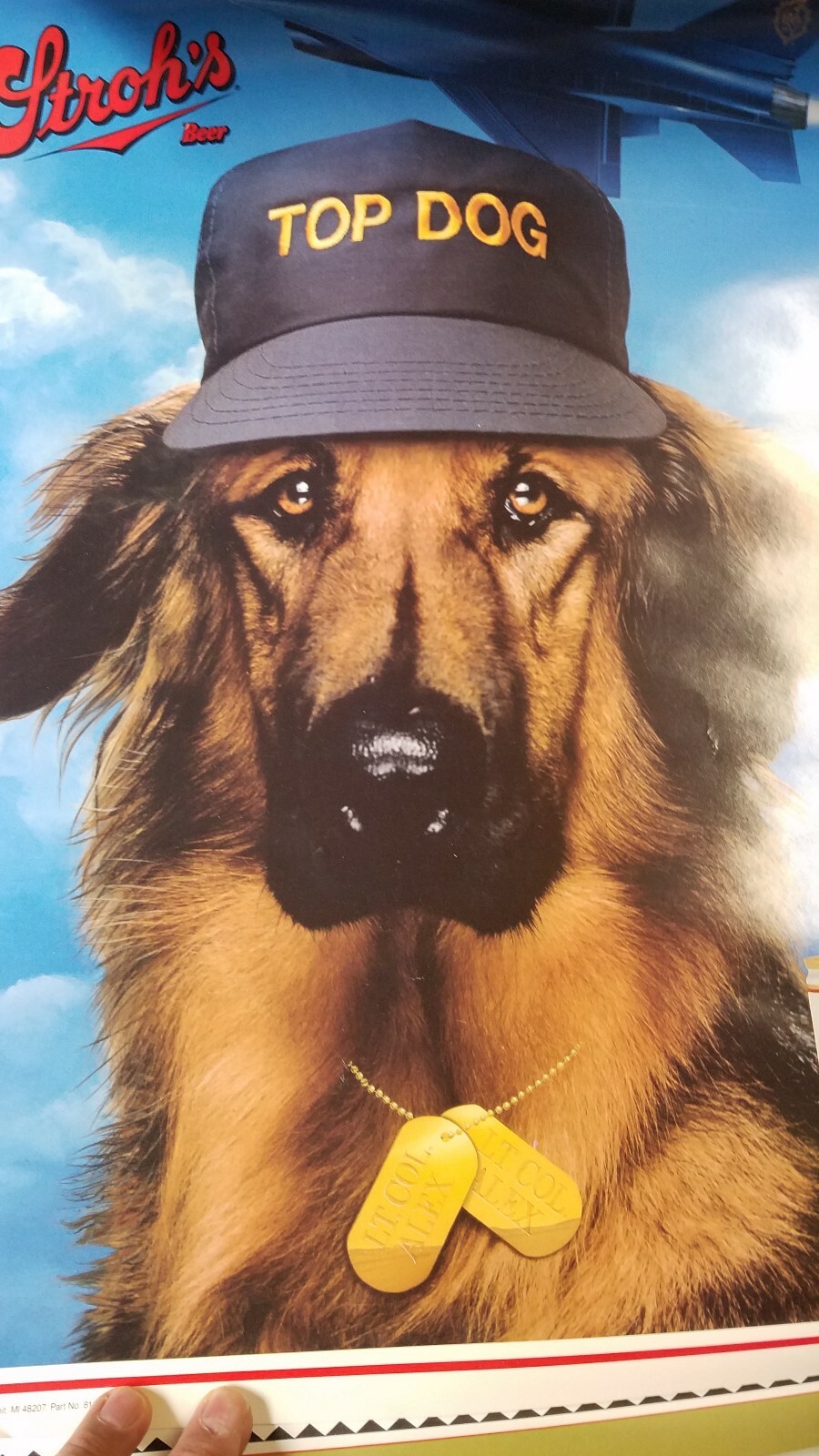 What Kind Of Dog Is Alex From Strohs