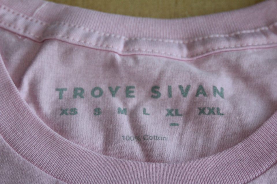 Troye Sivan - Pink Polaroid T Shirt Ladies Tee size XL NEW | eBay
